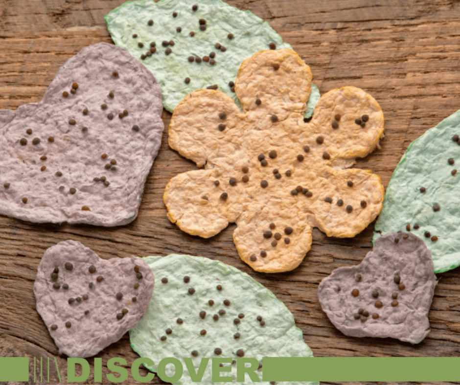 Make your own Seed Paper : Muswellbrook Shire Libraries